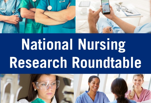 2021 National Nursing Research Roundtable | National Institute of ...